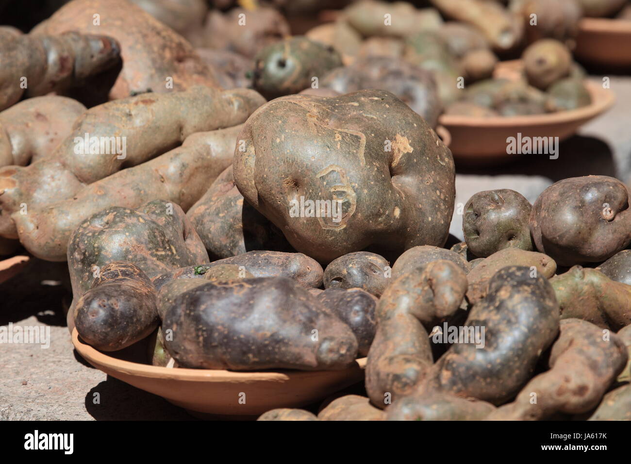 Potato Varieties Peru High Resolution Stock Photography and Images - Alamy