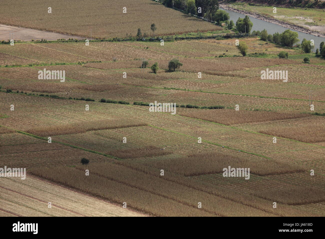 agriculture, farming, grain field, culture landscape, scenery ...