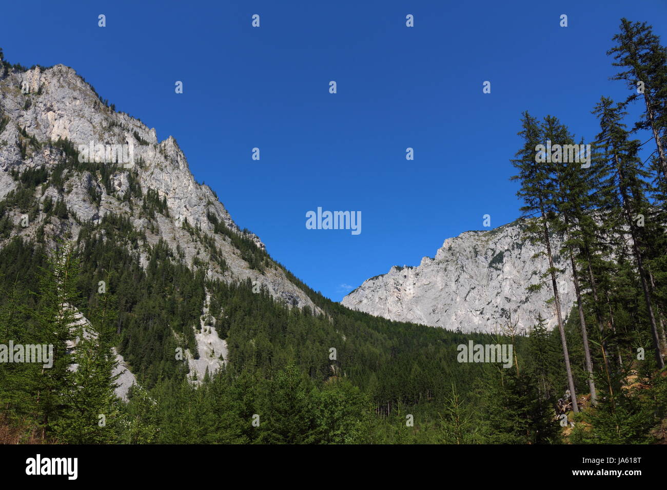 environment, enviroment, austria, sight, view, outlook, perspective ...