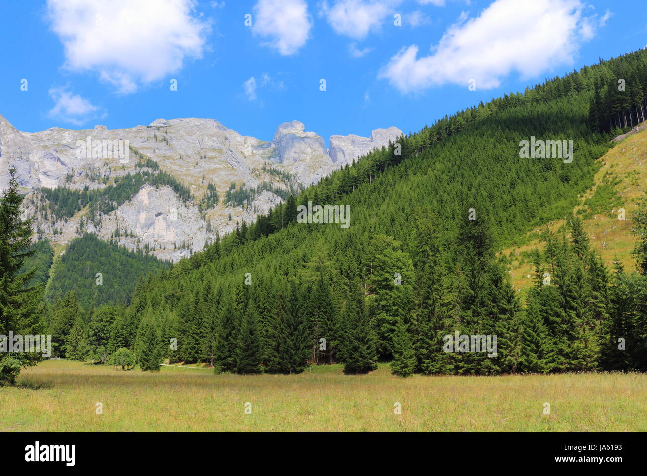 environment, enviroment, austria, sight, view, outlook, perspective ...