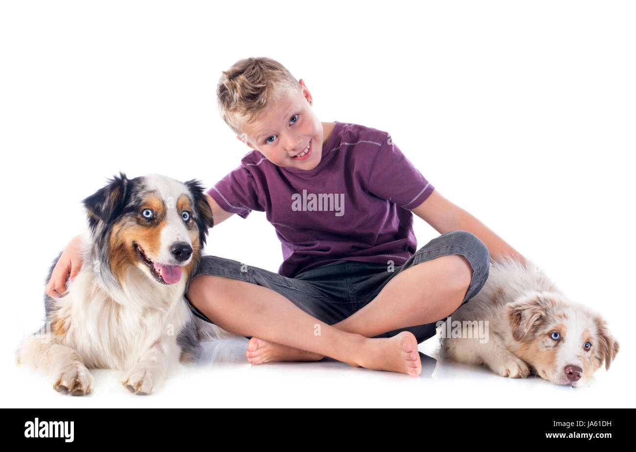 dog, dogs, puppy, boy, lad, male youngster, blue, laugh, laughs ...