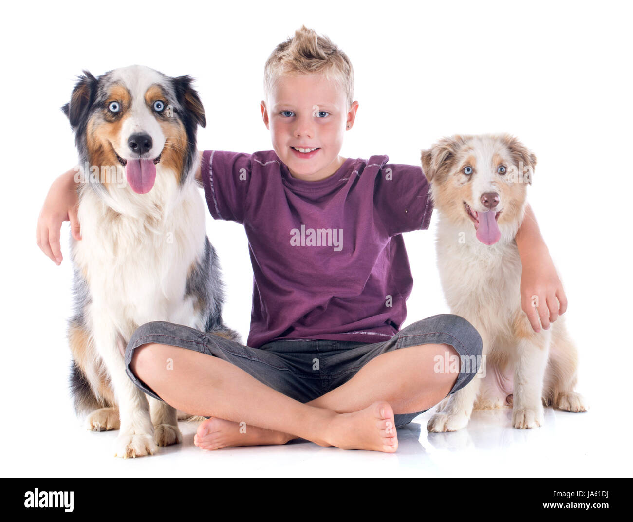 dog, dogs, puppy, boy, lad, male youngster, blue, laugh, laughs ...