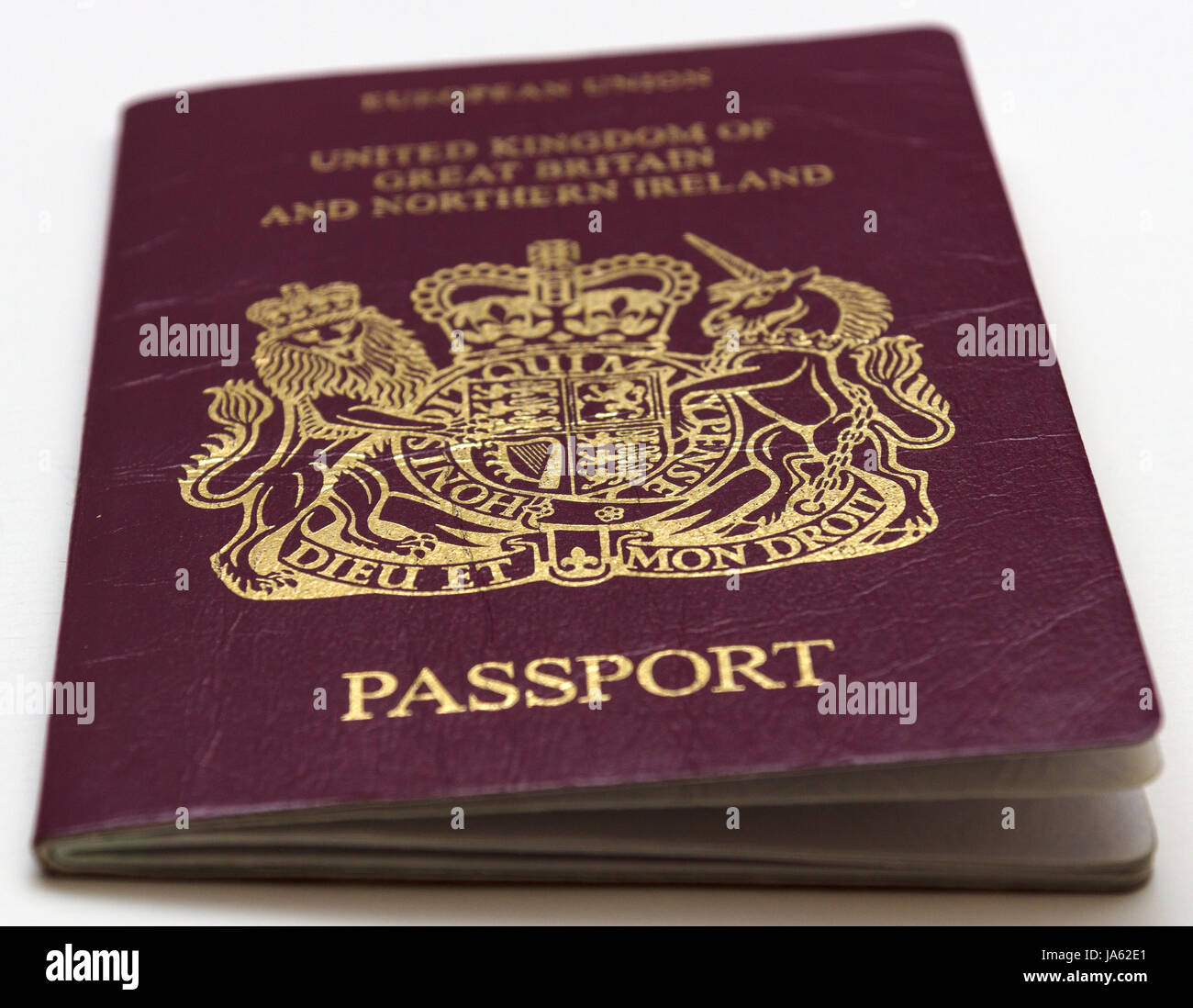 humans, human beings, people, folk, persons, human, human being ...