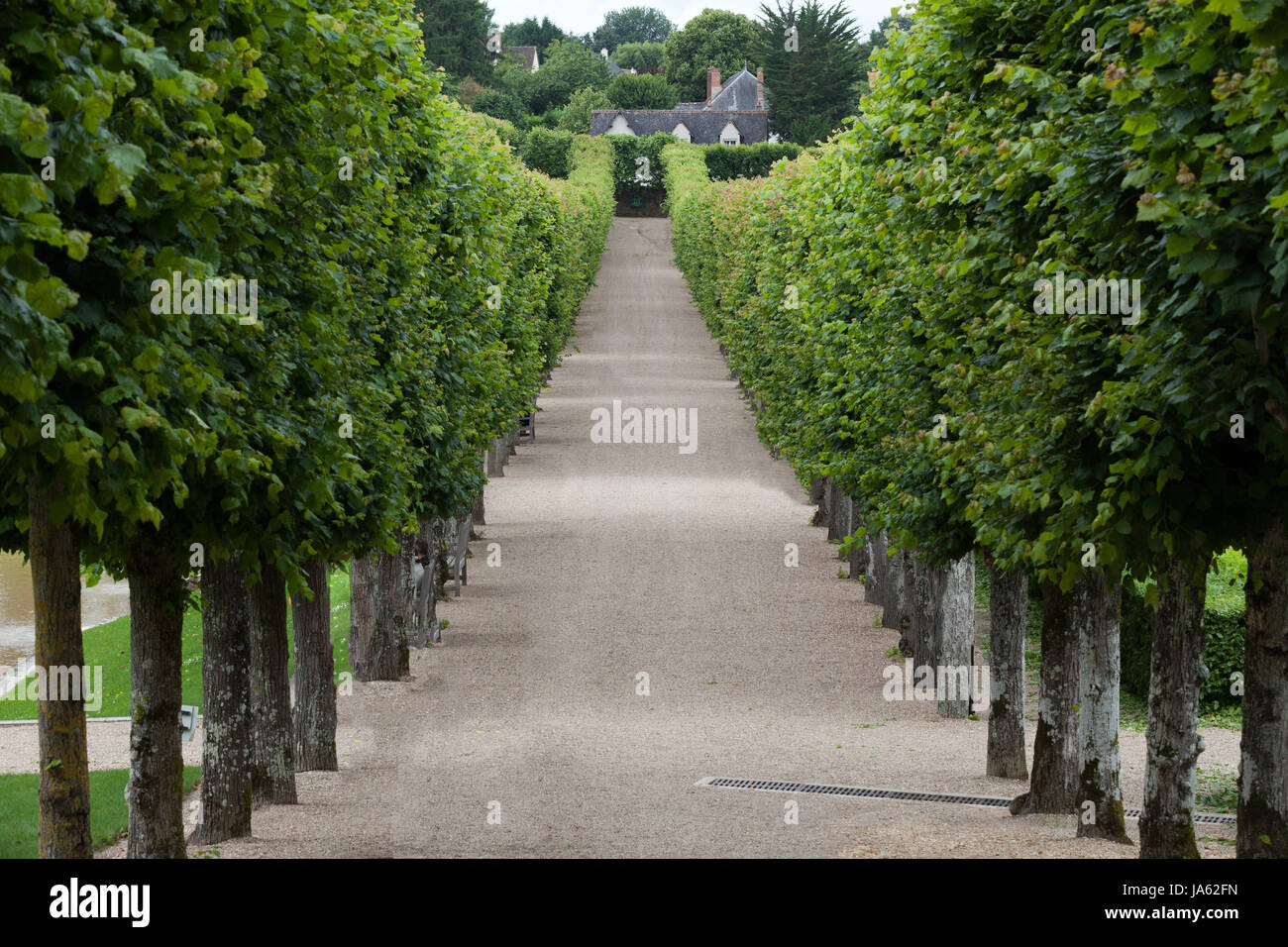garden, france, palace, castle, chateau, beautiful, beauteously, nice ...