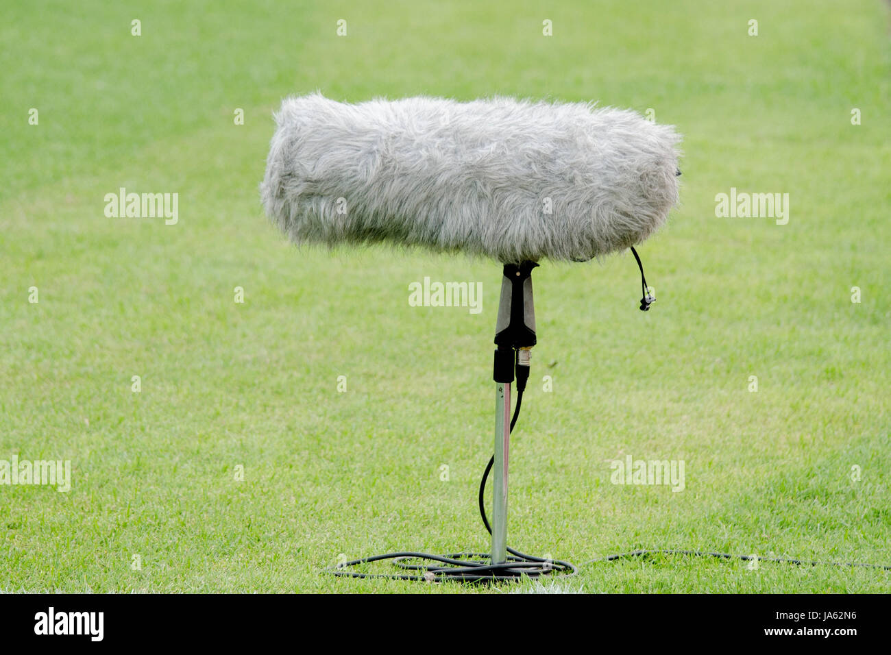 object, big, large, enormous, extreme, powerful, imposing, immense ...