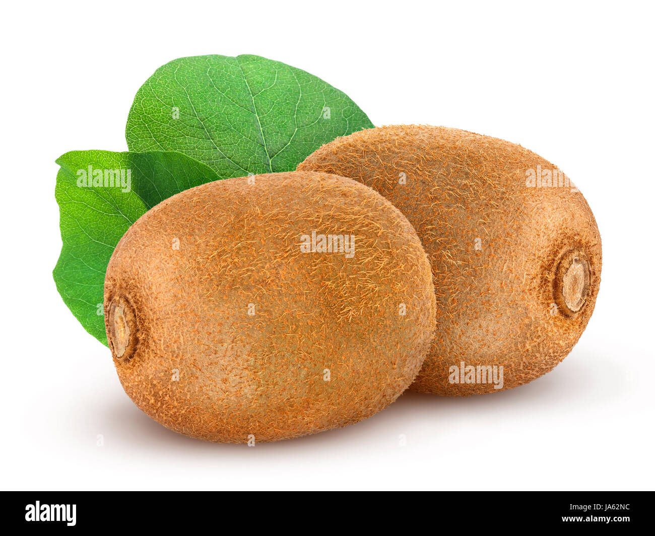 Whole kiwi isolated on white background Stock Photo - Alamy