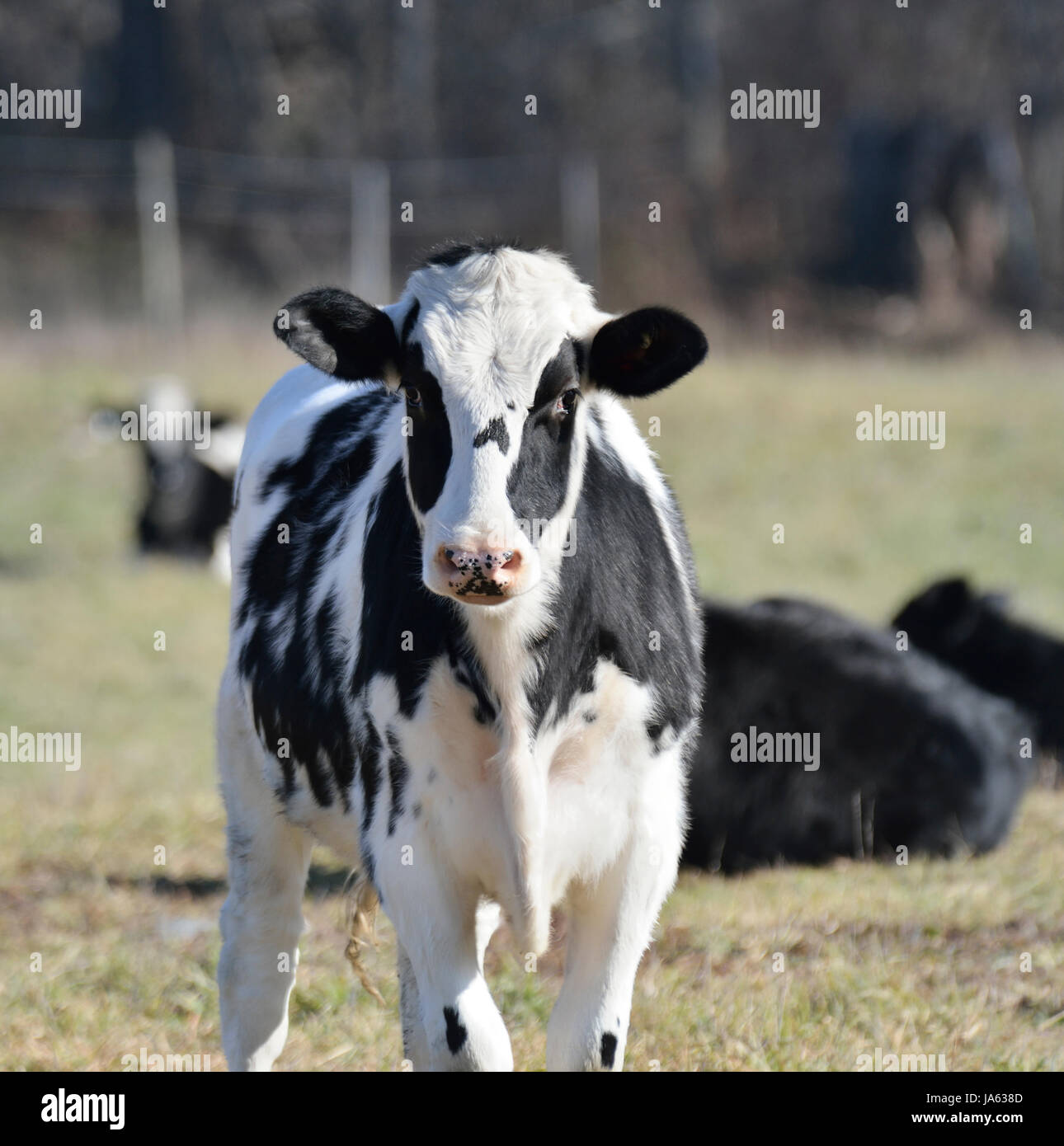 Deep black hi-res stock photography and images - Alamy