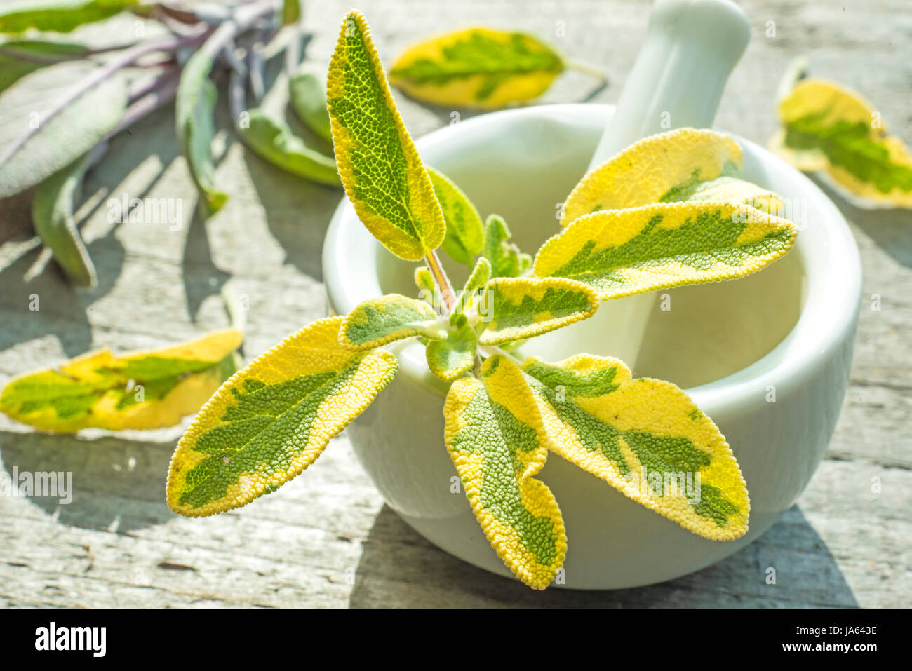 Sage tea boil hi-res stock photography and images - Alamy