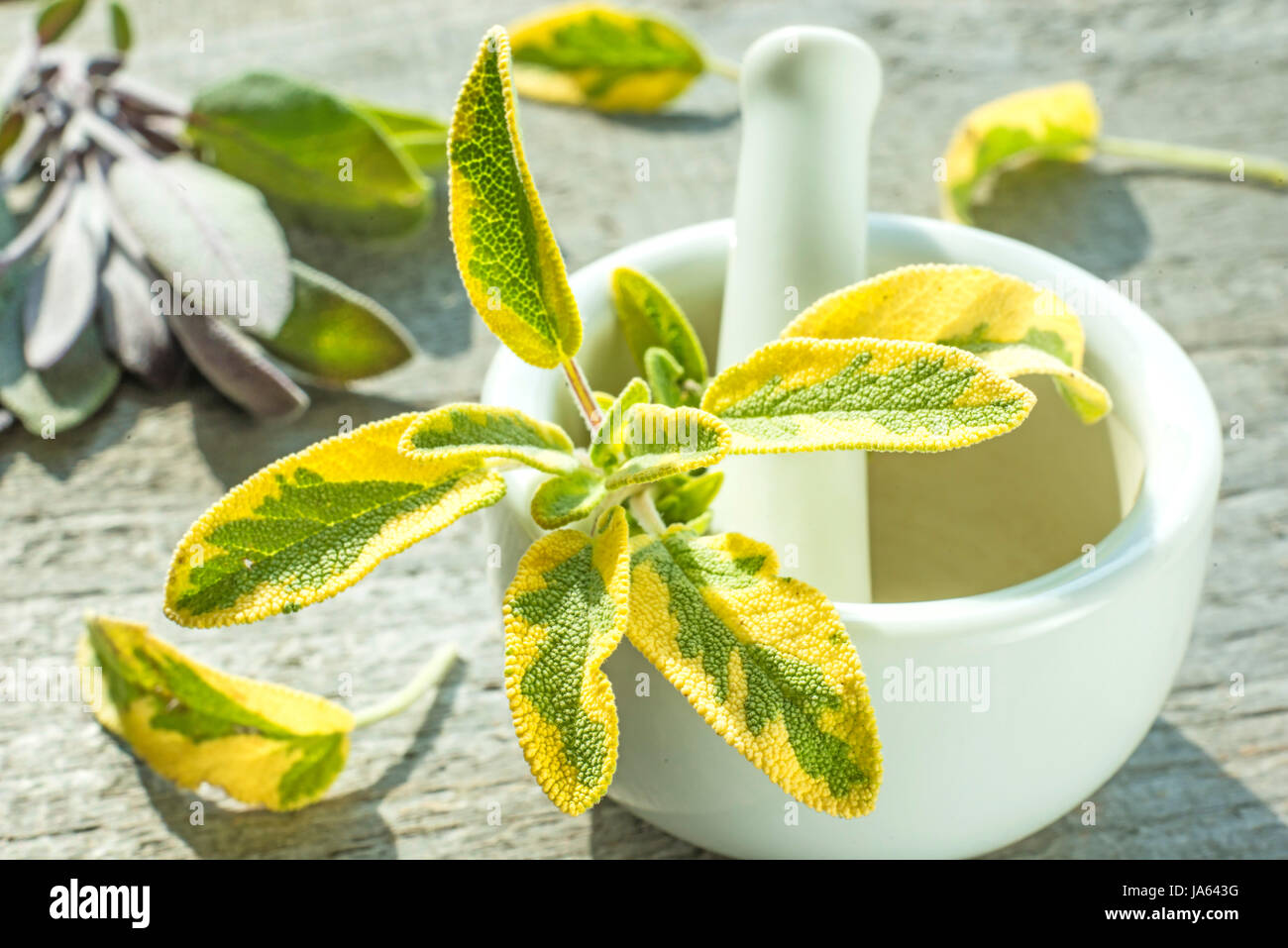 Sage tea boil hi-res stock photography and images - Alamy