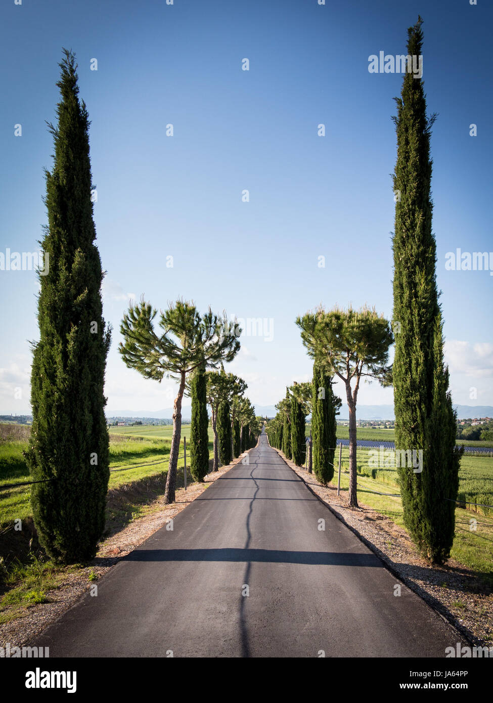 Tuscany country tree lined avenue hi-res stock photography and images ...