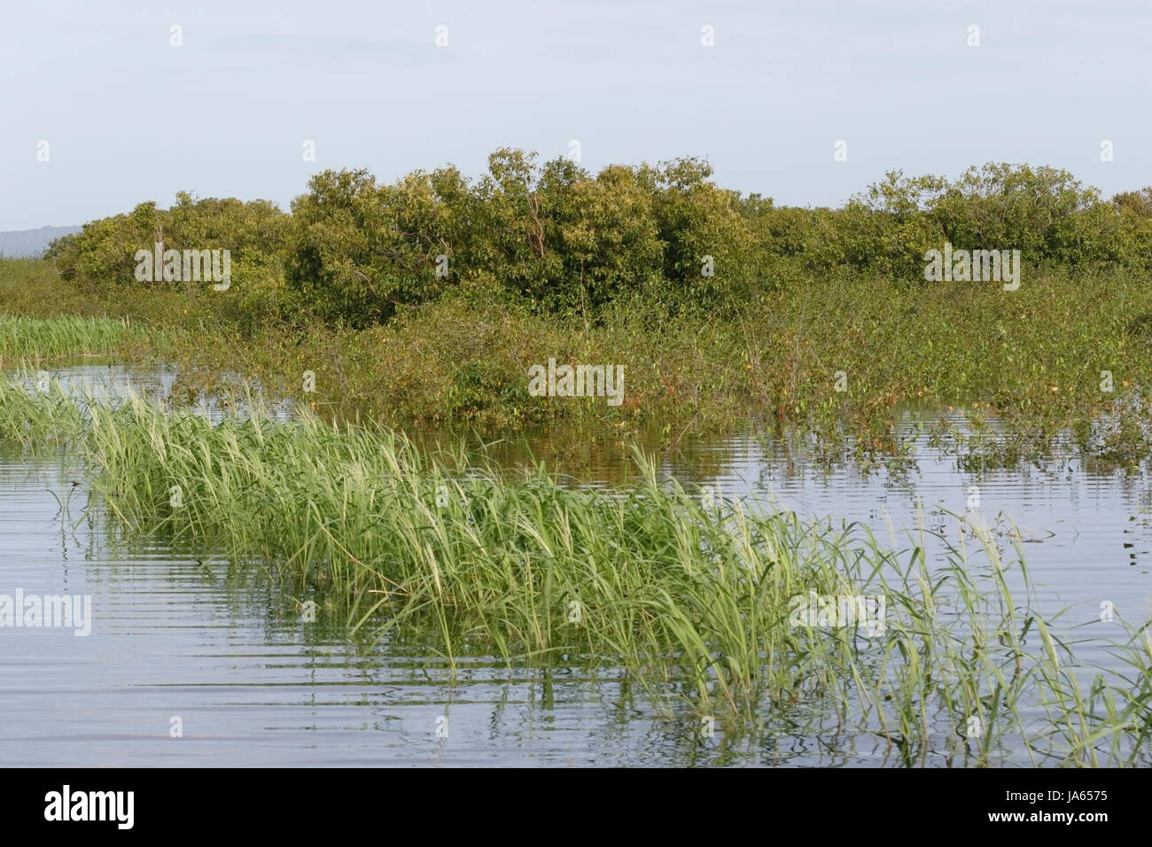 Brazil rives hi-res stock photography and images - Alamy