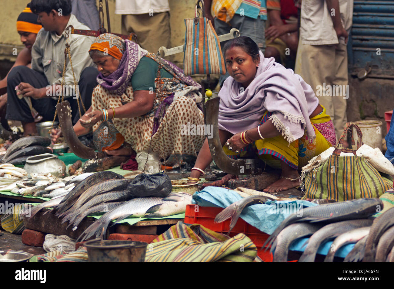 Kolkata fish market hi-res stock photography and images - Alamy
