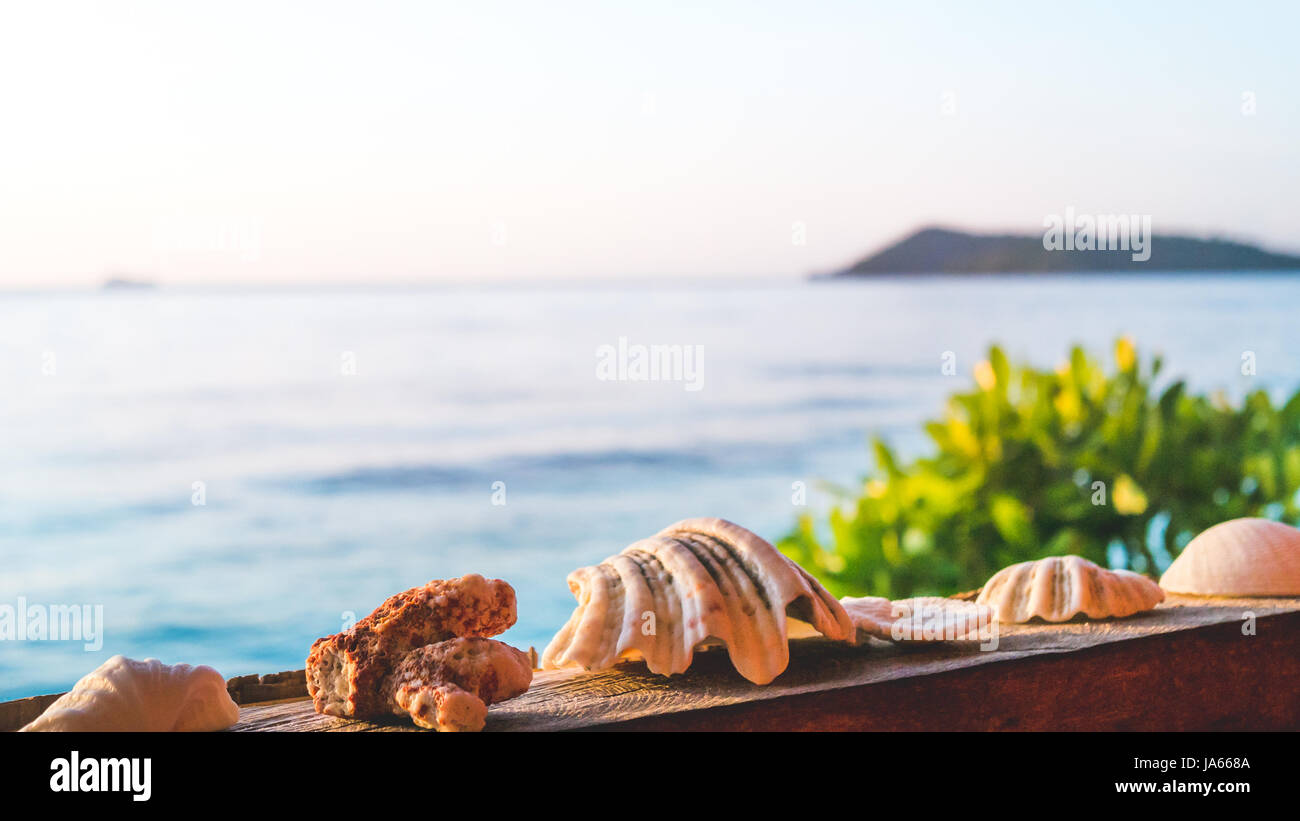 Indonesia beach shells hi-res stock photography and images - Alamy