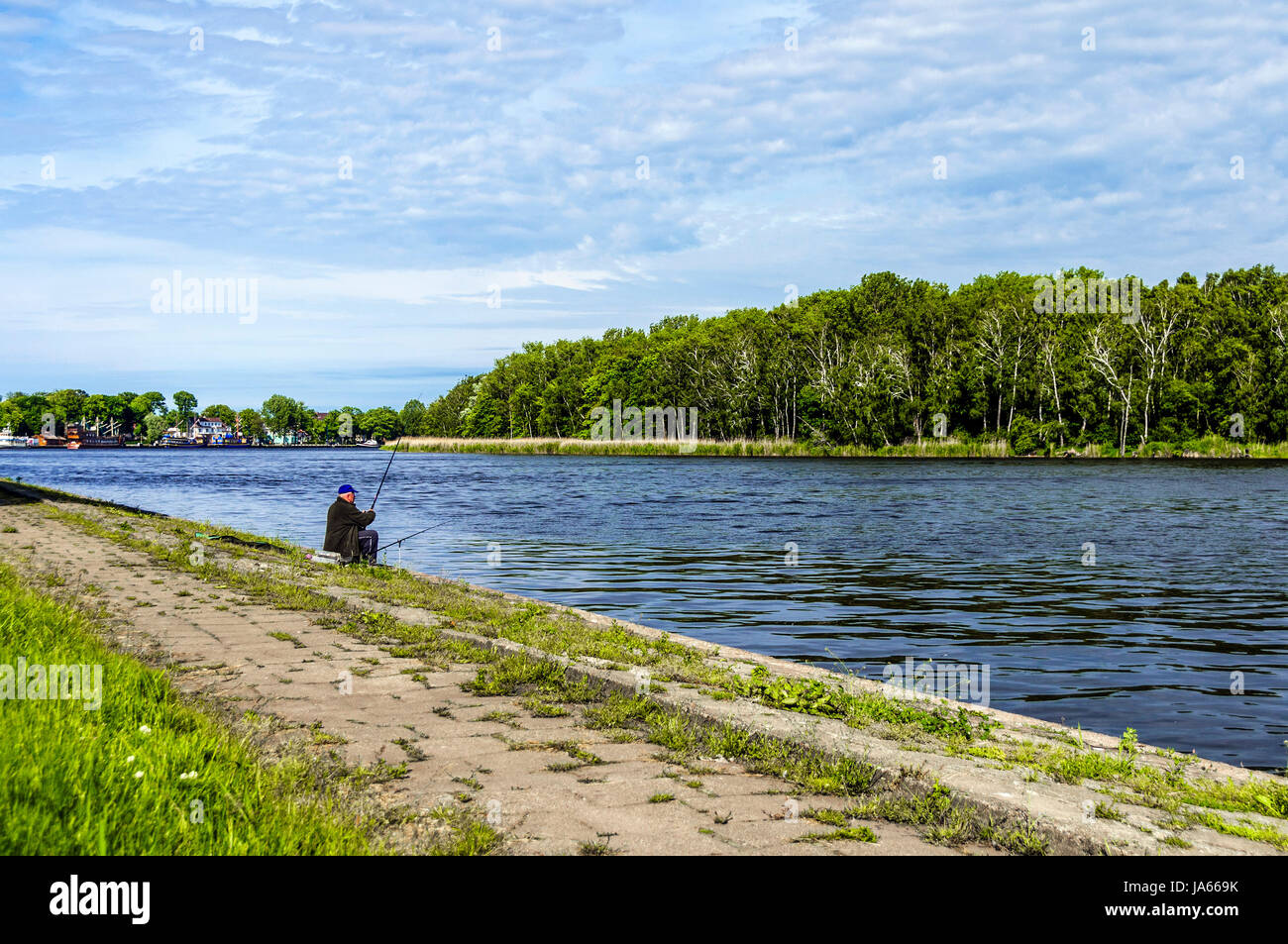 fish, angel, angels, fish, angel, angels, river, water, fischer, fisch ...