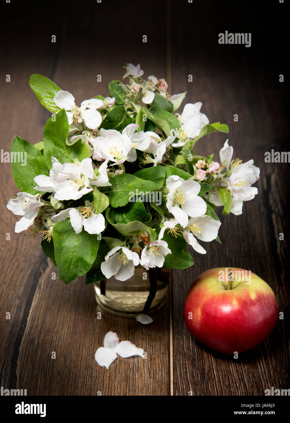 White apple flowers bouquet isolated and fresh apple. Rustic atyle ...