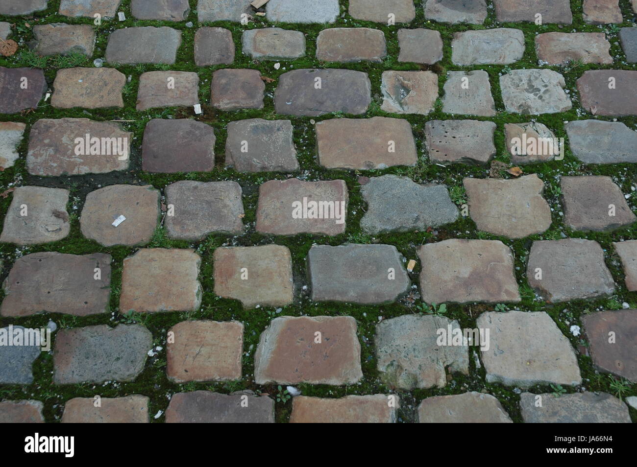 plaster, stones, walk, go, going, walking, plaster, pavement, puddle ...