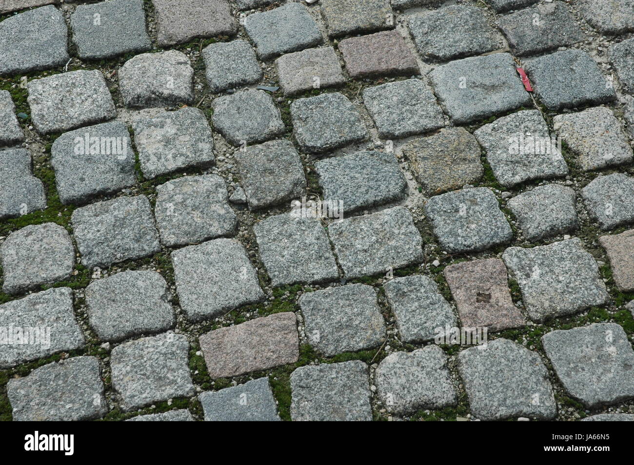 plaster, stones, walk, go, going, walking, plaster, pavement, puddle ...