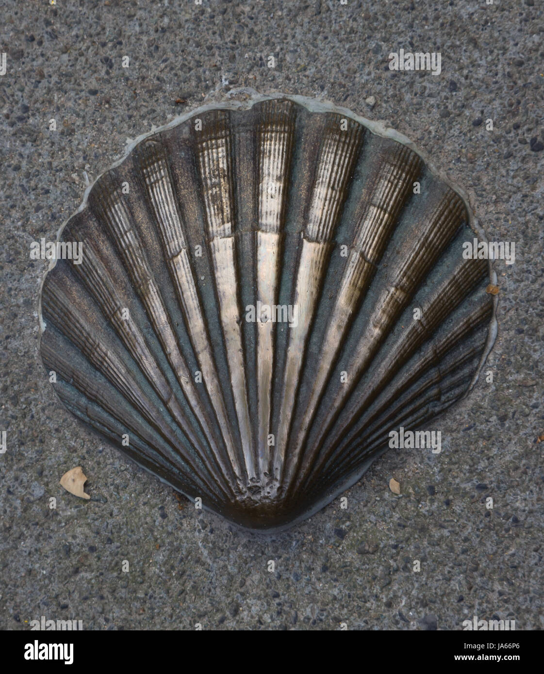 fashion, tourism, hike, go hiking, ramble, shell, meditation, tradition ...