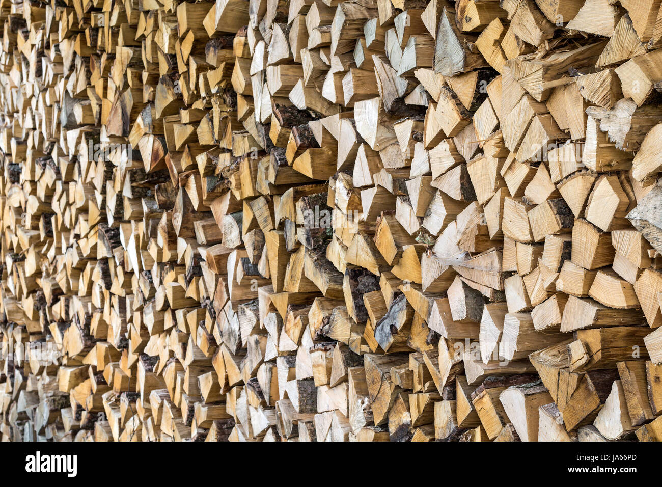 economical, stock, provision, tree, winter, wood, cold, trunk, energy ...