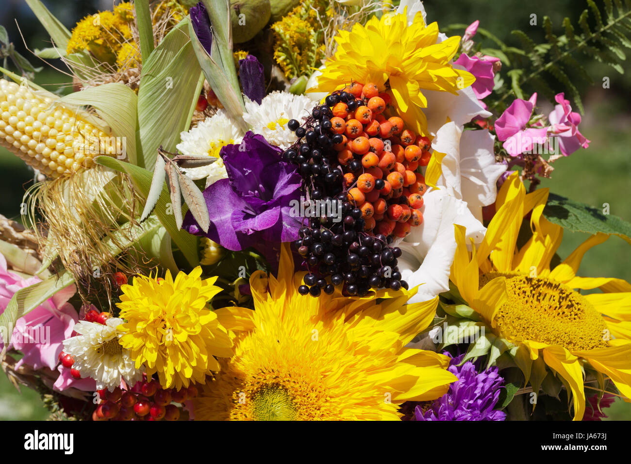 flower, plant, summer, summerly, bouquet, herb, backdrop, background ...