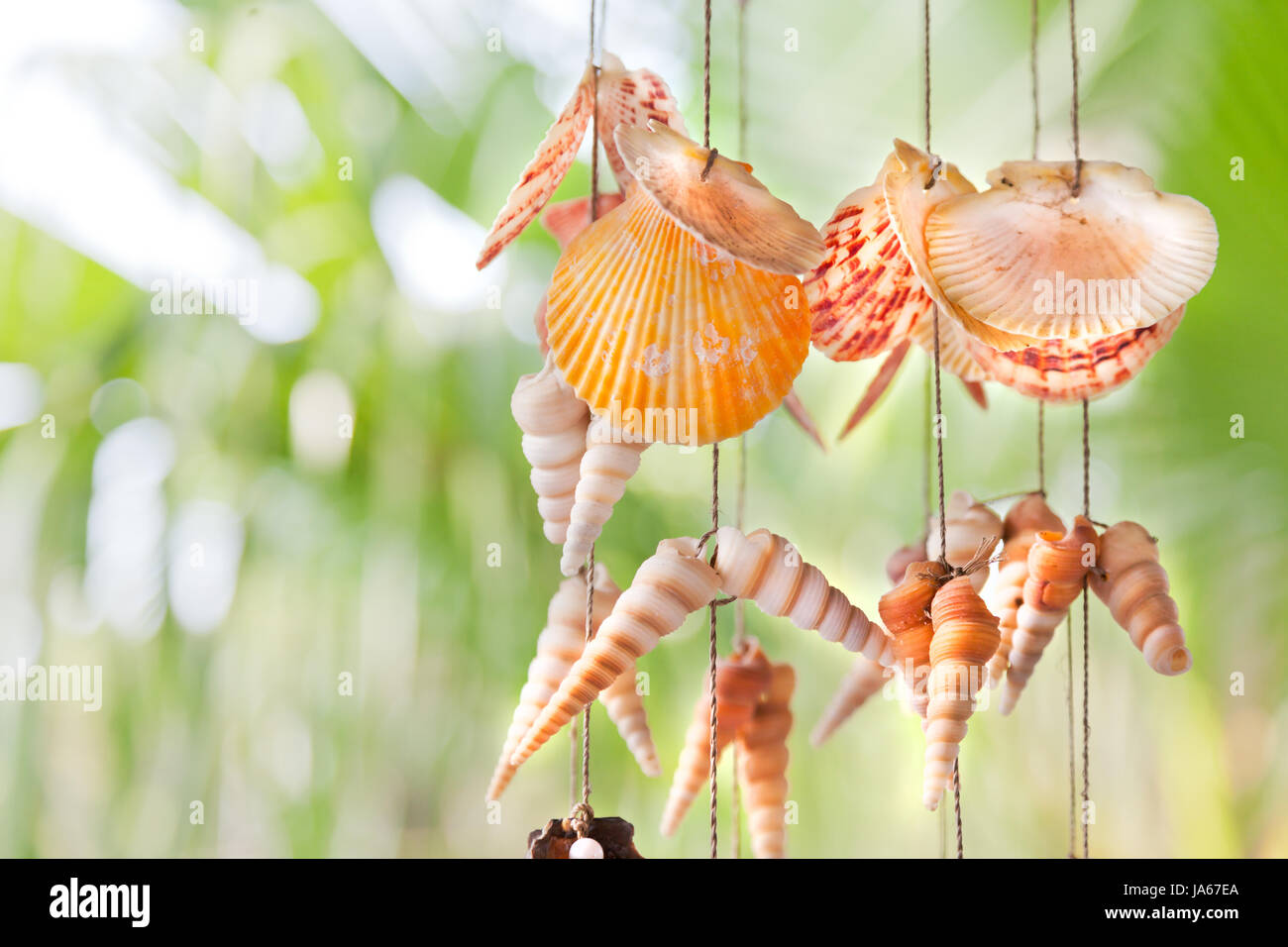 Hanging shells hi-res stock photography and images - Alamy