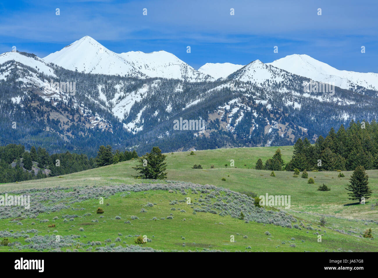 Mt d6149 hi-res stock photography and images - Alamy