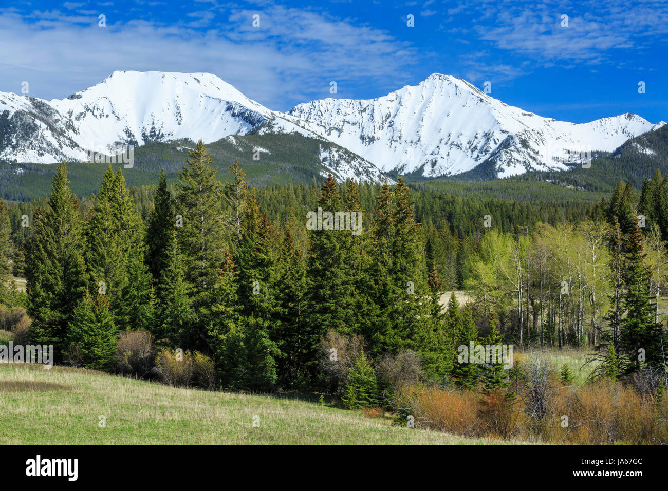 Mt d6178 hi-res stock photography and images - Alamy