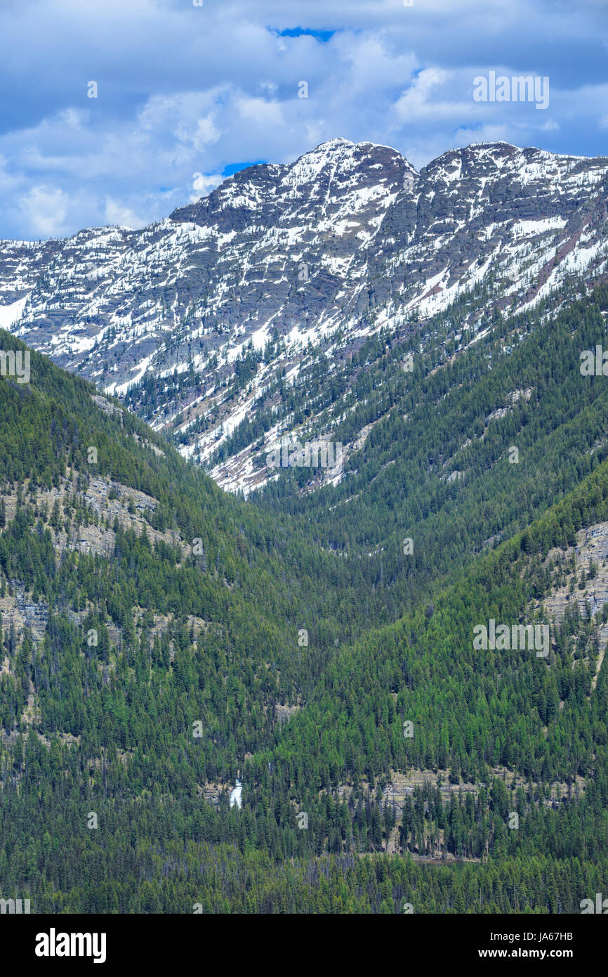 upper morrell creek basin and morrell falls in the swan range of lolo ...