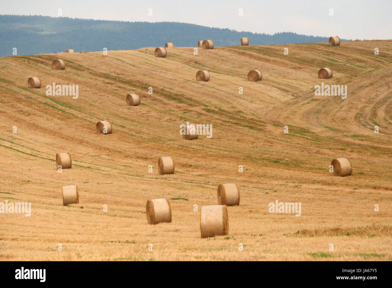 bucolic, agriculture, farming, field, summer, summerly, straw ball ...