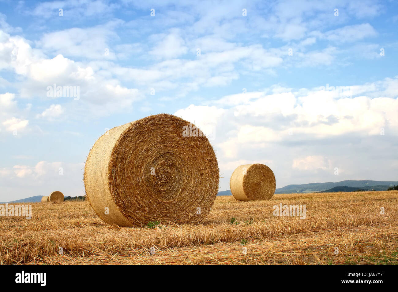 bucolic, agriculture, farming, field, summer, summerly, straw ball ...