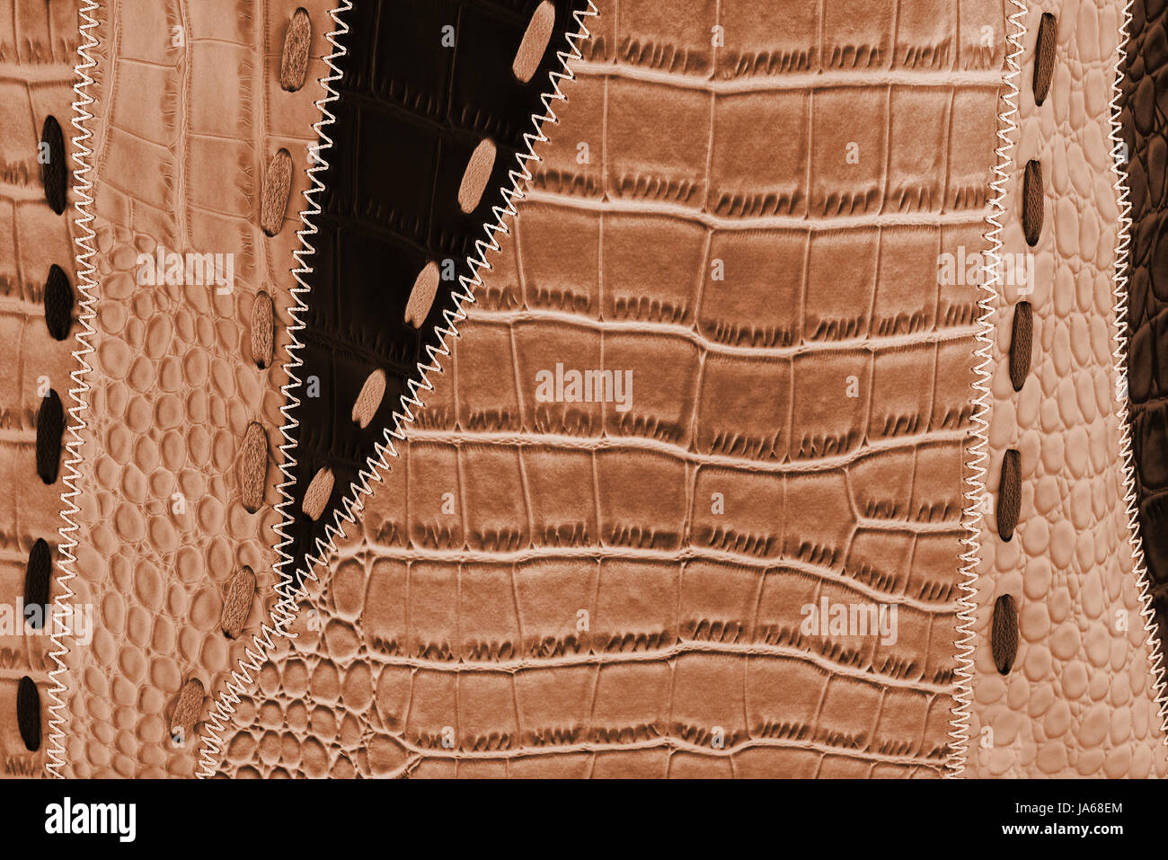 Light brown snake hi-res stock photography and images - Alamy