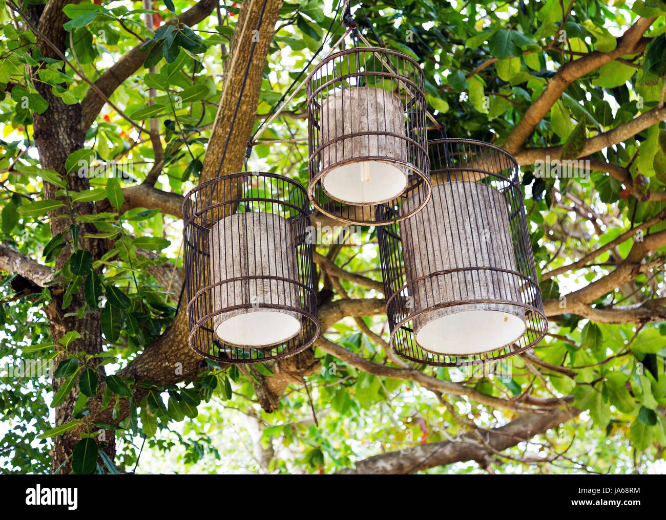 Three unusual lantern hanging on a tropical tree Stock Photo - Alamy