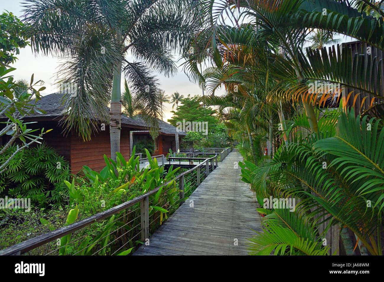 Wooden path in a tropical park Stock Photo - Alamy