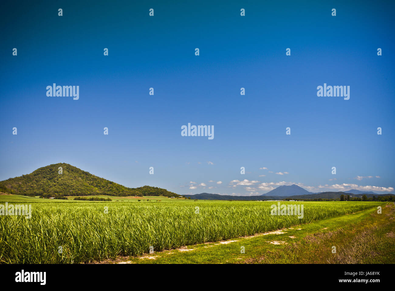 house, building, landscape, scenery, countryside, nature, lawn, green ...
