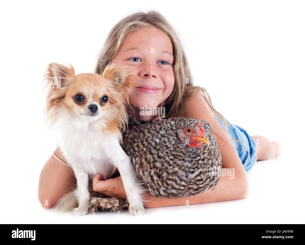 dog, dapper, accosting, pretty, prettily, prettier, ravishing ...