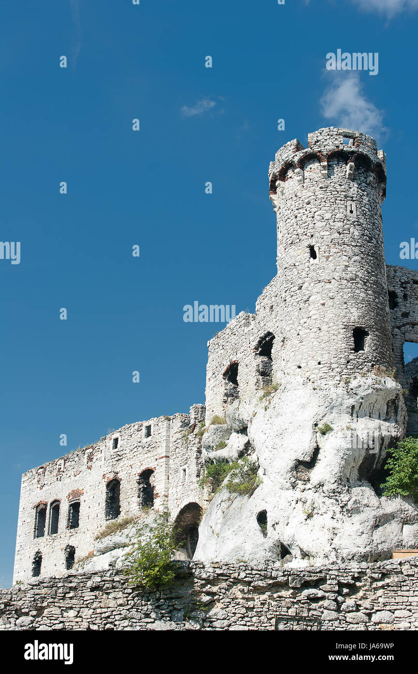tower, laugh, laughs, laughing, twit, giggle, smile, smiling, laughter ...