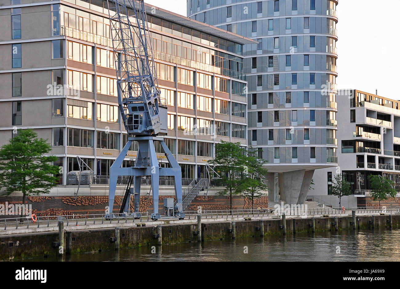 harbor, hamburg, harbours, hamburger, burger, steps, stairs, tree ...