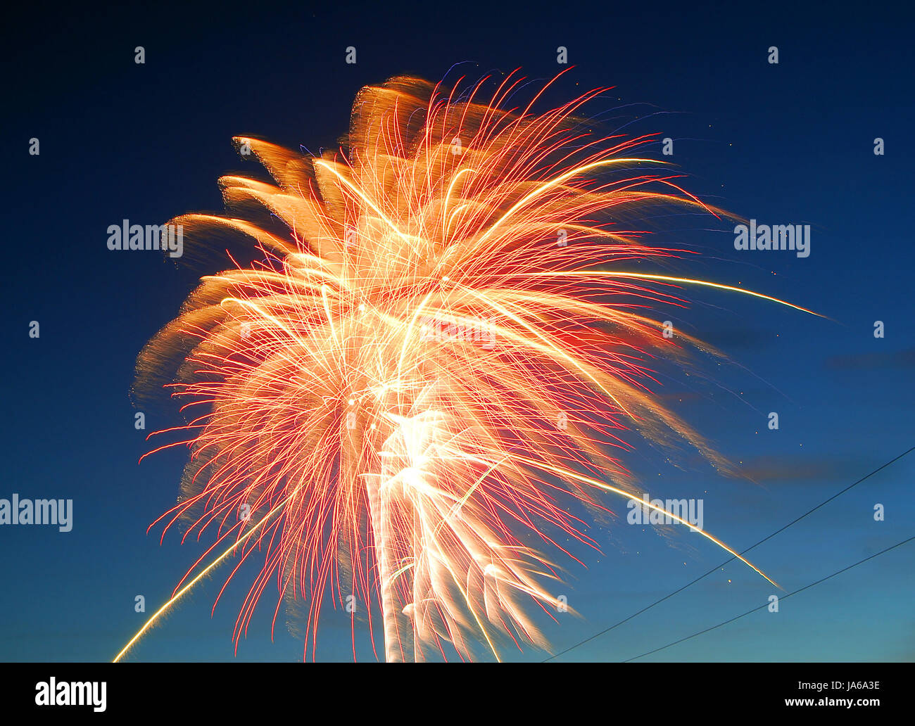 night, nighttime, celebrate, reveling, revels, celebrates, party ...