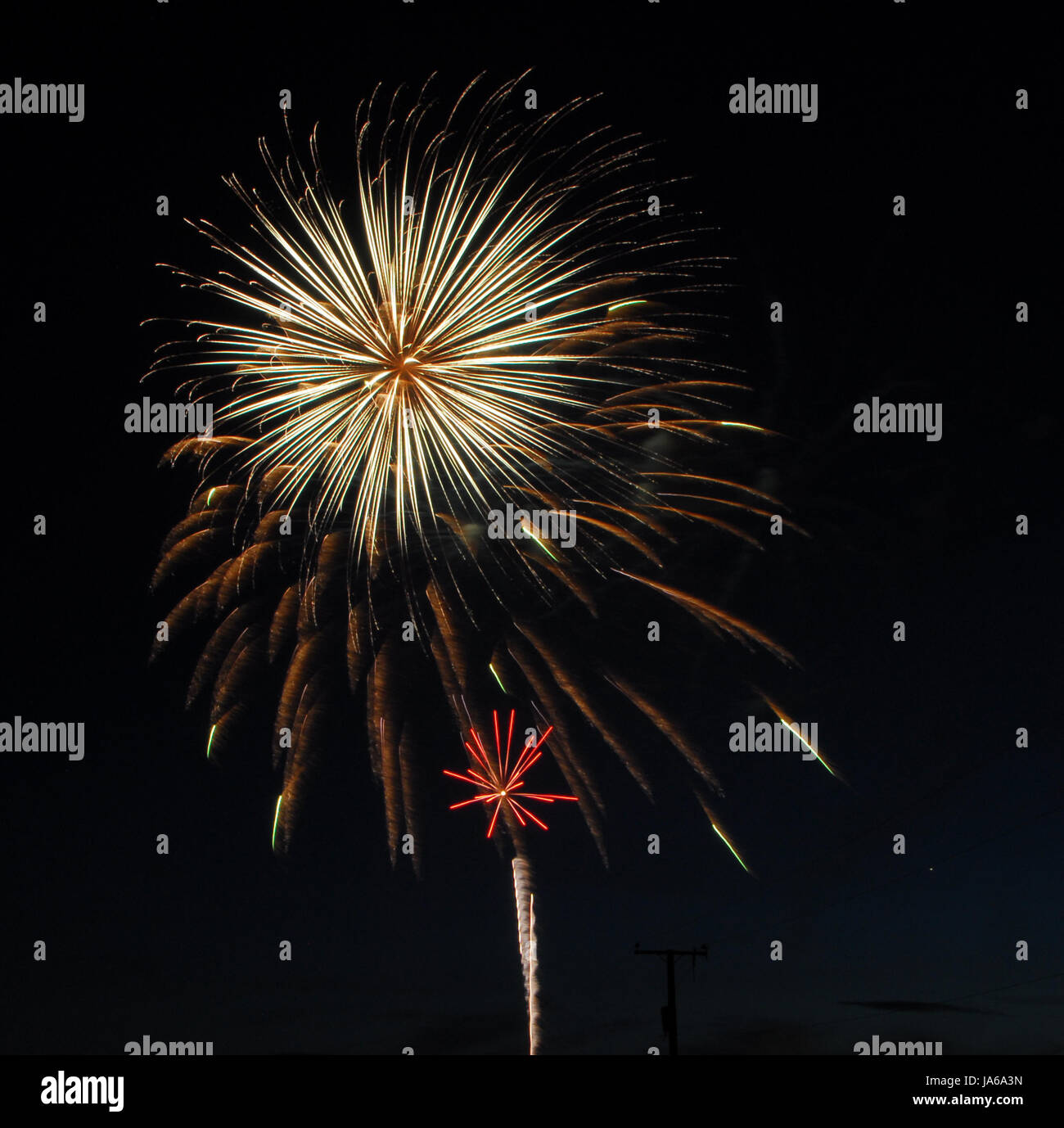 night, nighttime, celebrate, reveling, revels, celebrates, party ...