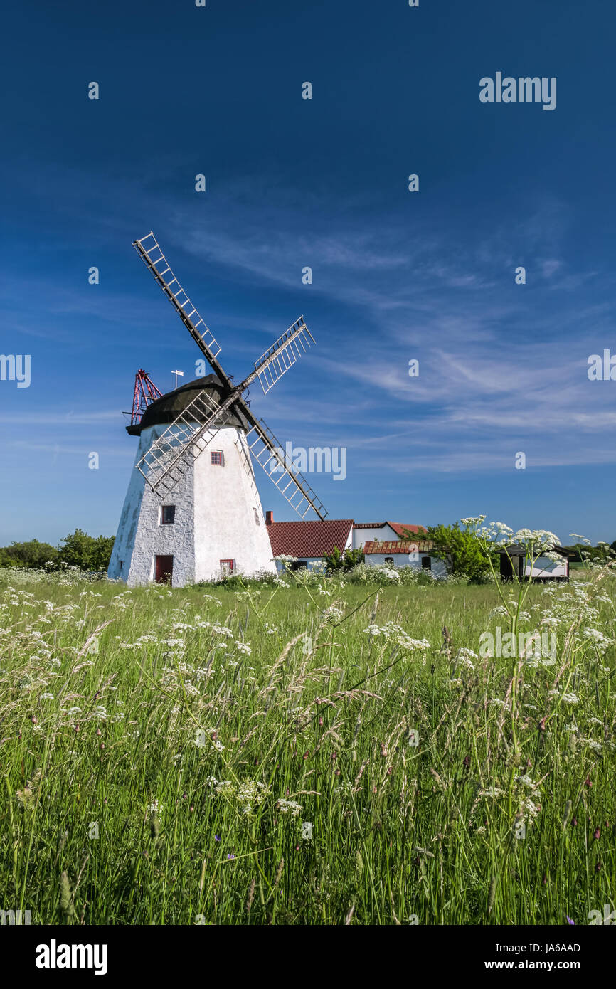 historical, blank, european, caucasian, denmark, windmill, mill, corn ...