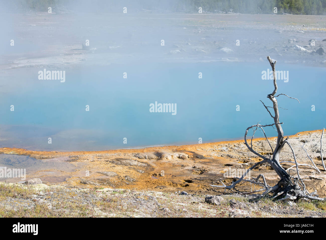 Yellowstone geothermal pools hi-res stock photography and images - Alamy