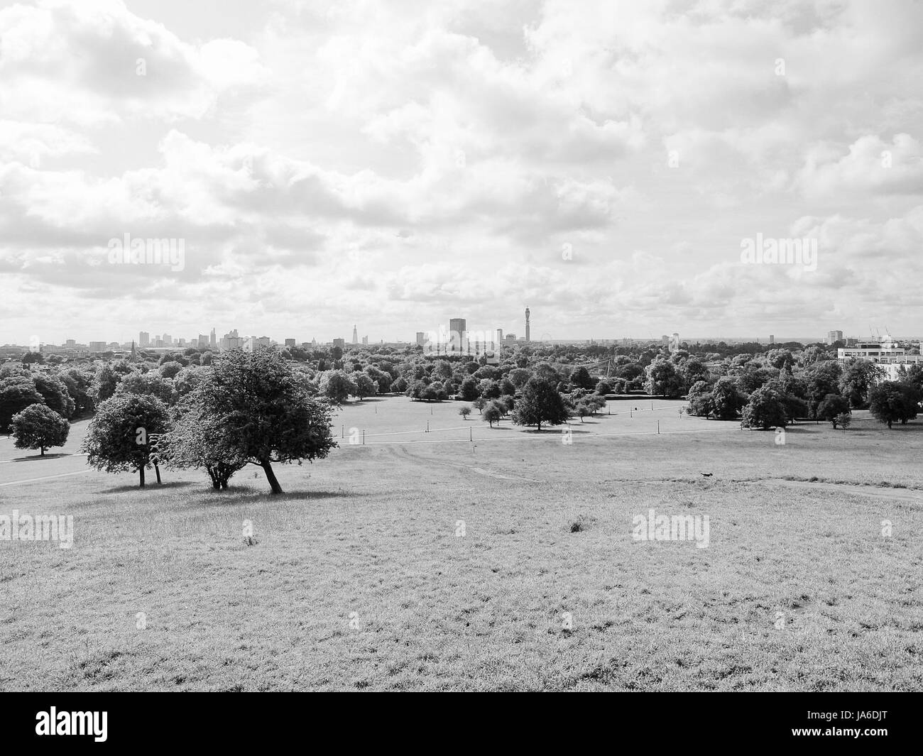 blue, europe, england, british, britain, english, meadow, grass, lawn ...