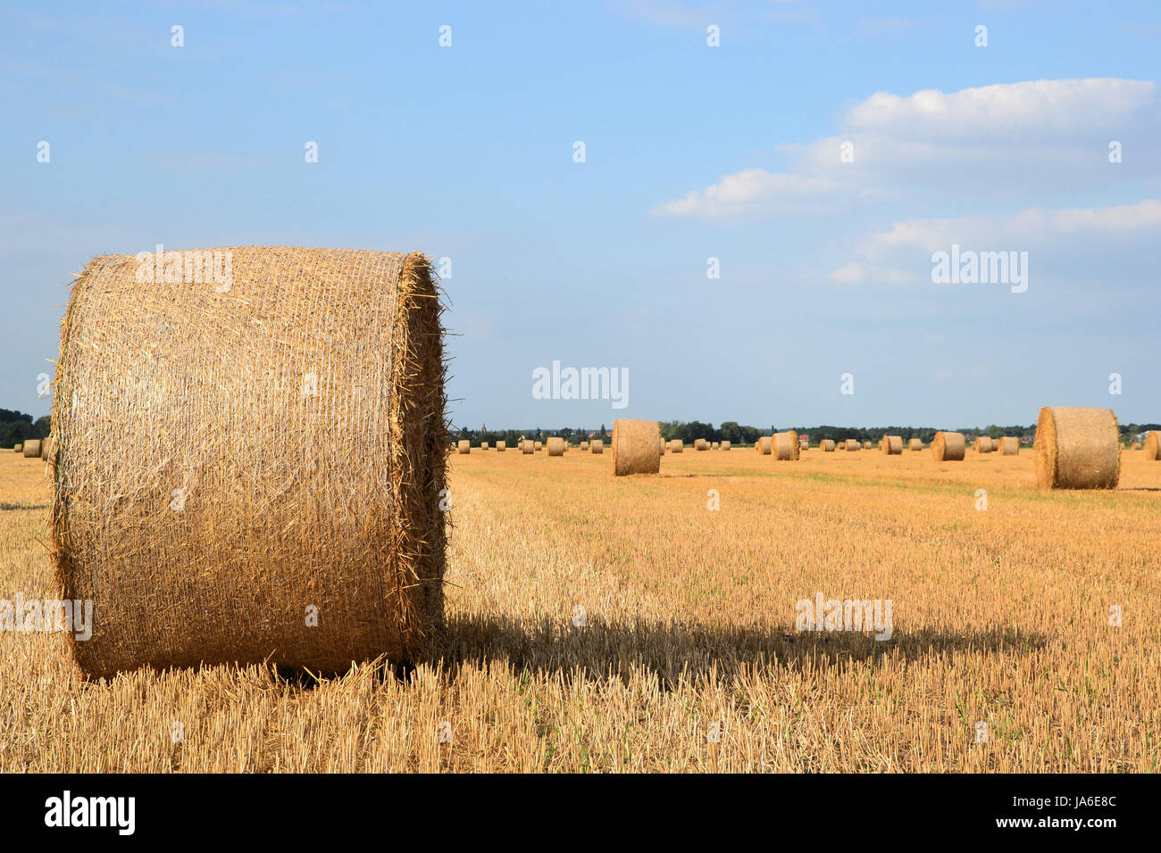fodder, agriculture, farming, field, summer, summerly, acre, roll, farm ...