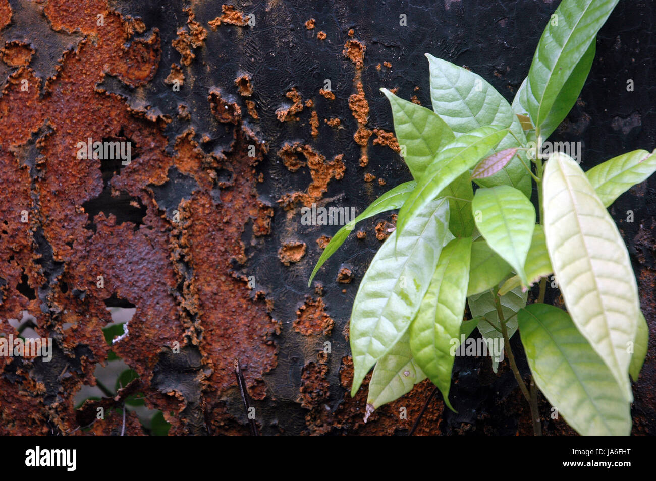 metal, rusty, rust, abstract, old, backdrop, background, texture ...