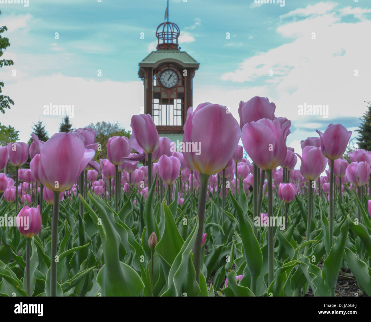 Giant flower clock hi-res stock photography and images - Alamy