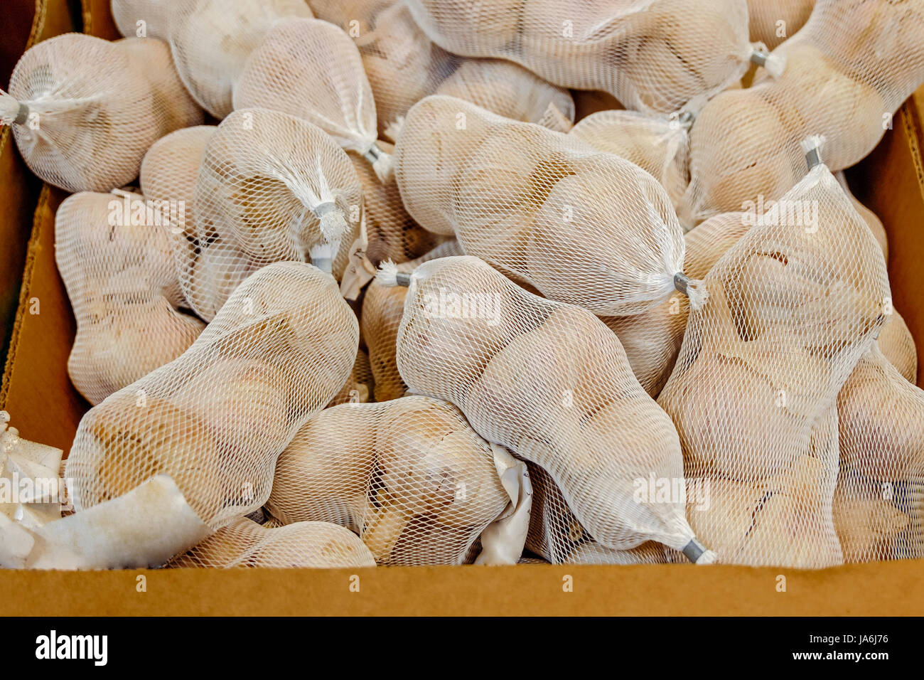 Garlic in net hi-res stock photography and images - Alamy