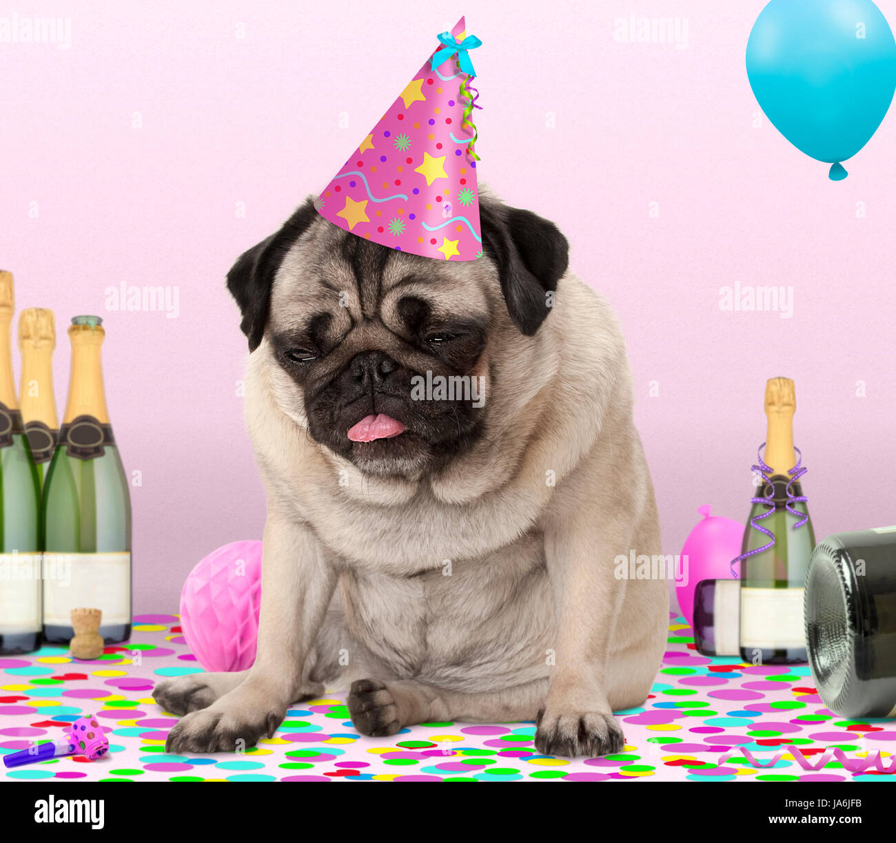 cute pug puppy dog wearing party hat, lying down on confetti, drunk on ...