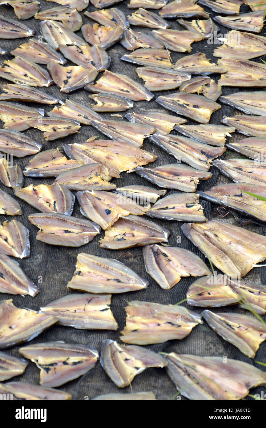 food, aliment, fish, traditional, dry, dried up, barren, gourmet ...