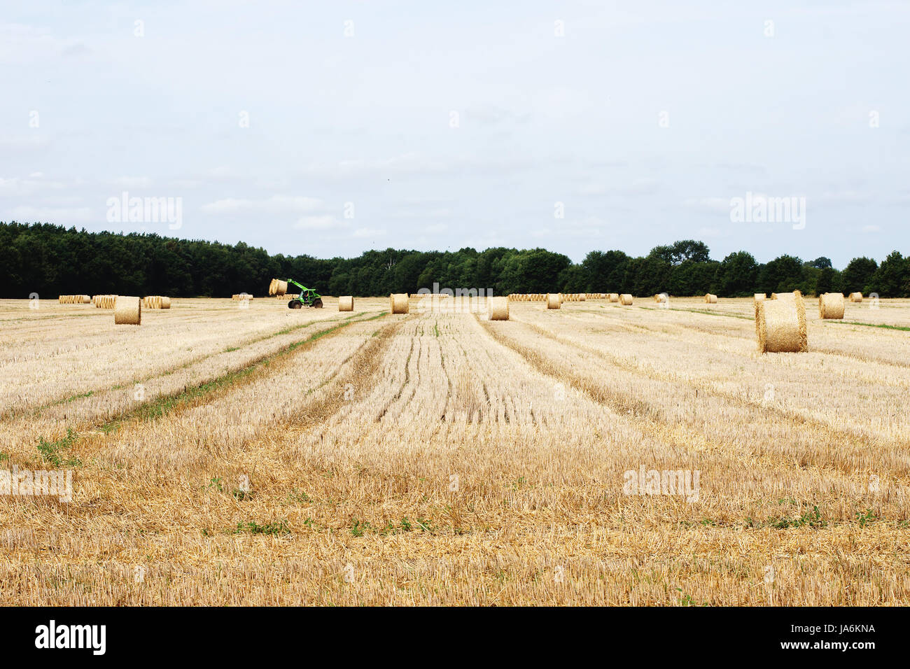 field, straw ball, roll, grain field, harvest, rolls, rollers, grain ...