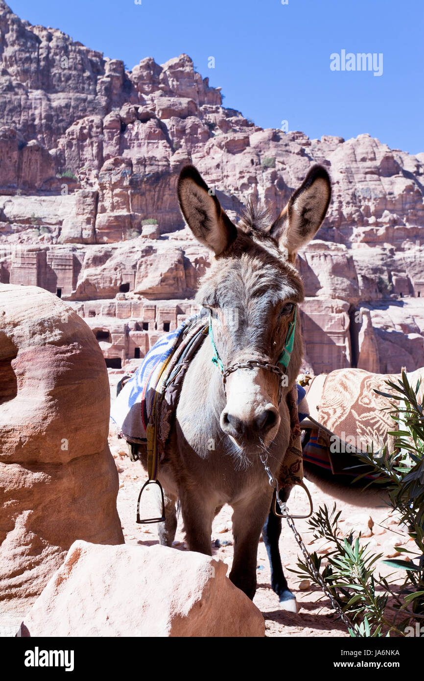 city, town, stone, desert, wasteland, antique, lost, greek, rock, ruin ...